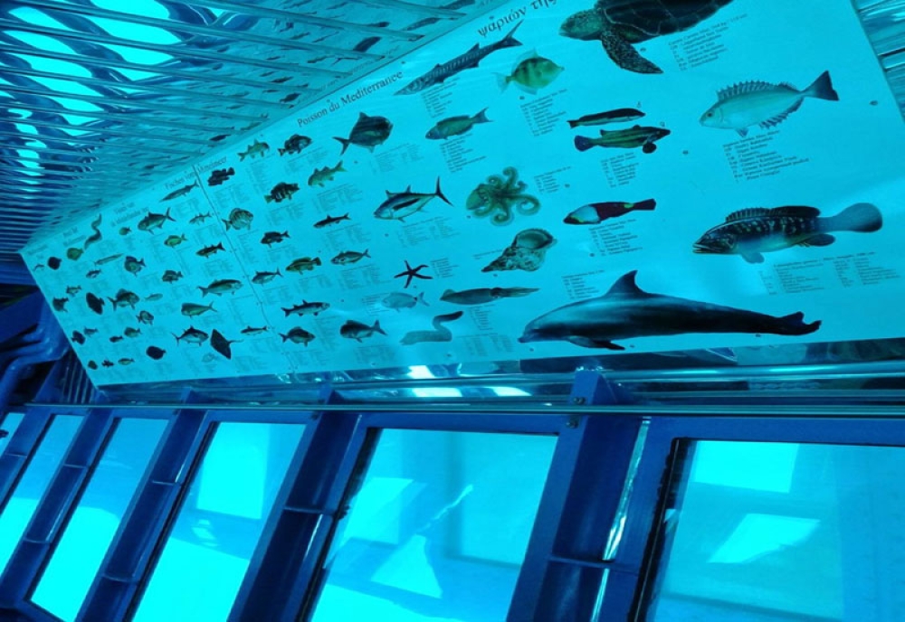 Hurghada Semi Submarine Ride - Sea Gate